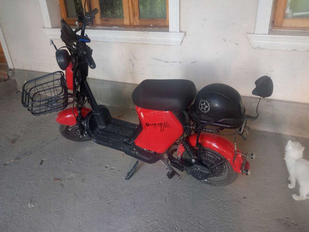Skutor sotiladi srochna