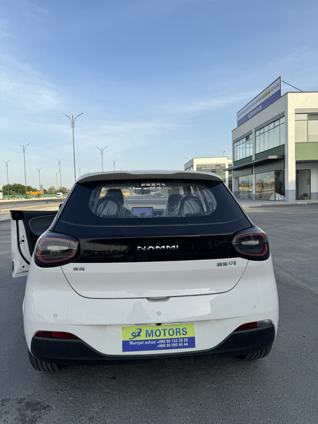 Dongfeng Nammi01 2024