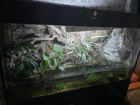 Akvarium terraryum