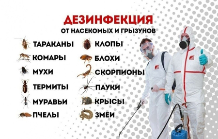 Дезинфекция 24/7