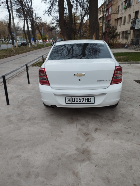 Moshena coblt 113000 buldi yurgani toza metan 90 talik balon