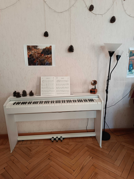 Casio Privia PX-770