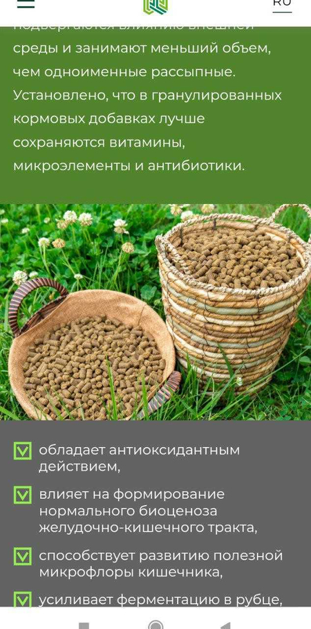 Гранулированная кормовая добавка
