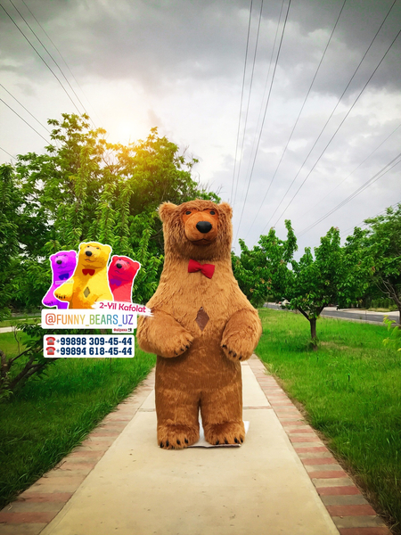 Sotiladi yengi Ayiq, Ayiqlar, Teddy ayiqlar.