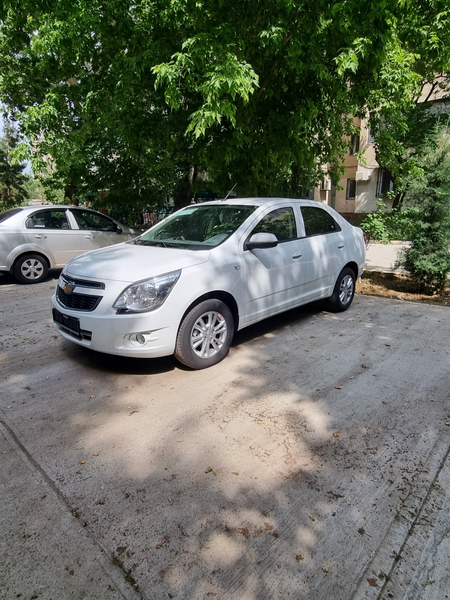 Cobalt 2024 Style Full pazitsa masla