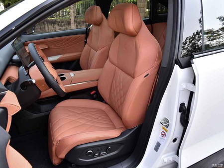 Gonzo Motors - Shenlan S7