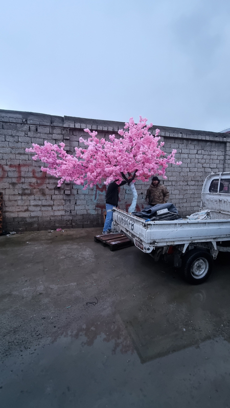 Дерева Daraxt yasab beramiz