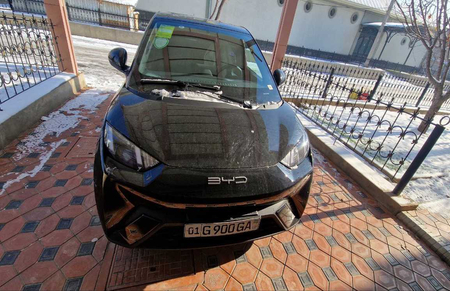 BYD SEAGULL zapchast kuzov BYD SIGUL запчасти кузова