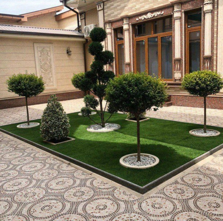 Газон. Арча. Манзарали гуллар экамиз