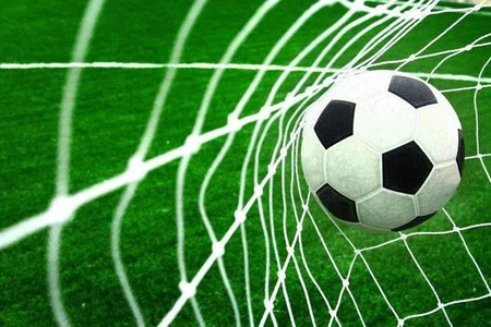 Ximoya to’ri futbol uchun dostavka bepul O’zbekiston bo’ylab