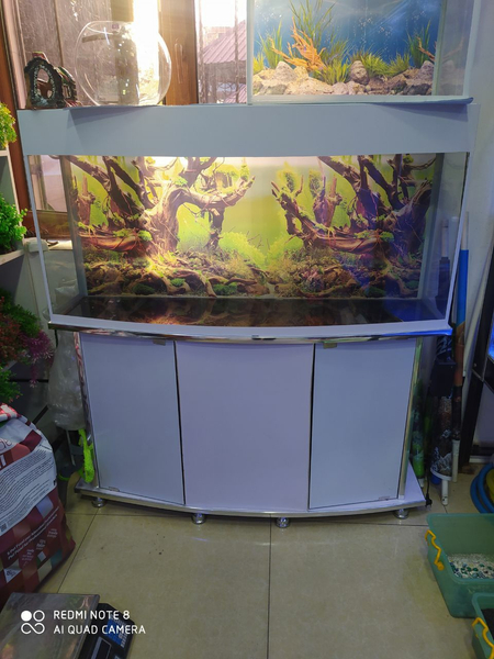 Akvarium zakaz olamiza