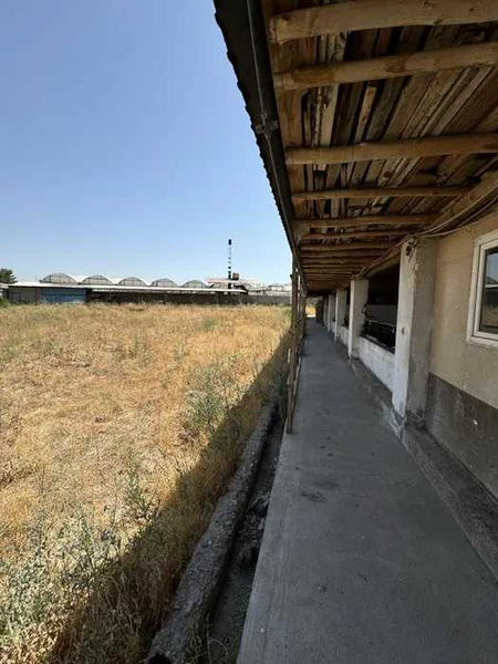 Аренда 3 комнатная, 22 сотихли  Участка Ункургонда БУМ 200$ ID SH 507