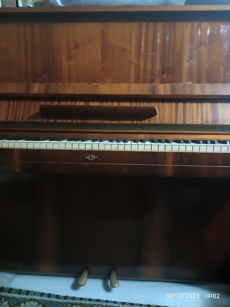 Fortepiano Va Sintezator Elenberg sotiladi