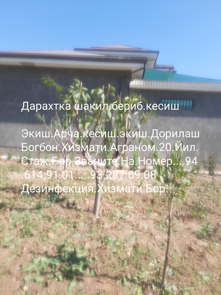 Богбон.хизмати.20.йил