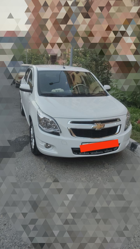 COBALT Stayl eng full