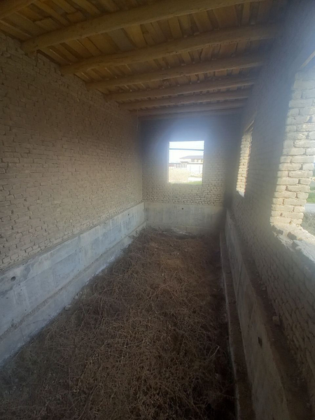 Universitet orqasida uchastka sotiladi 7 xonaga beton quyilgan. 1.30.