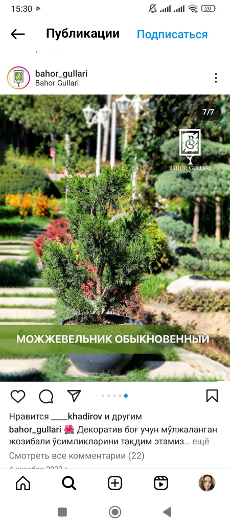Оживите свой участок с итальянскими цветами и деревьями!
