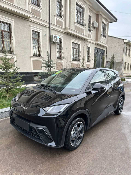BYD Seagull 2024 аренда с википом