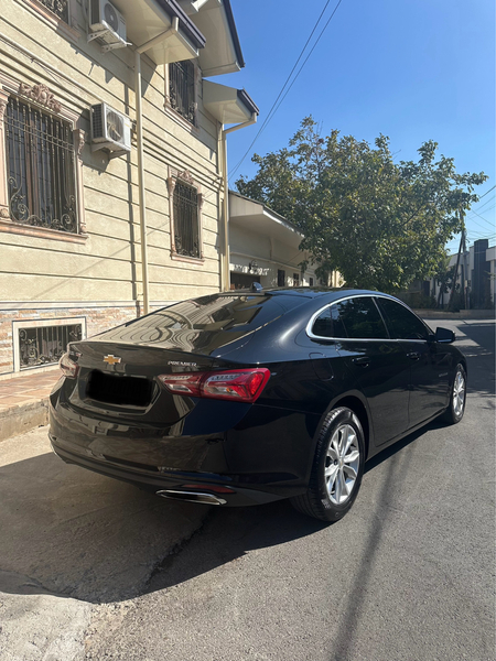 Malibu 2 PREMIER 2021