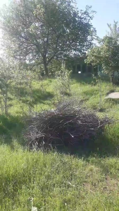 Кумушконда ер сотилади