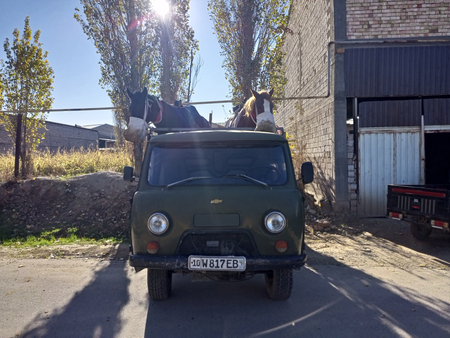 Уаз 3303 сотилади
