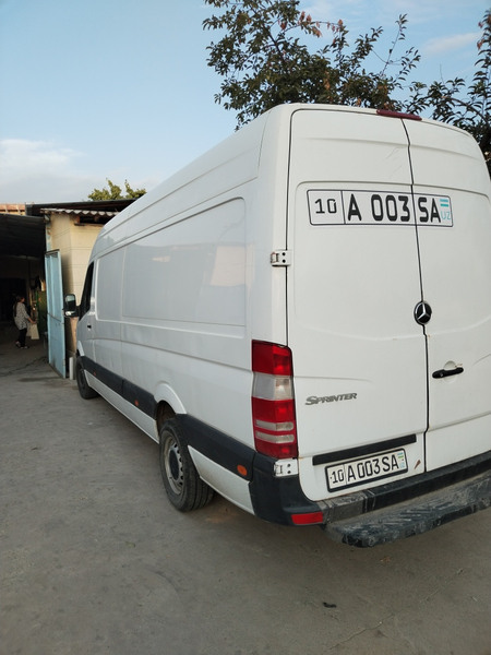 Sprinter Max 2012
