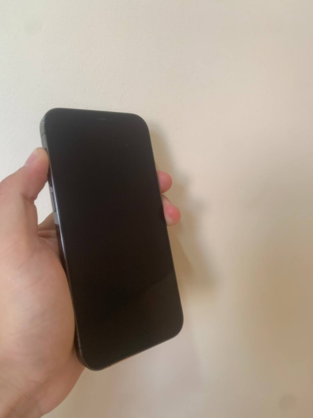 Iphone 12 pro…..