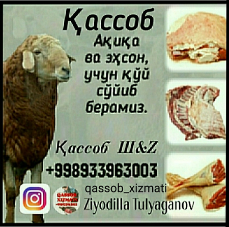 Қассоб Qassob ҳизмати.