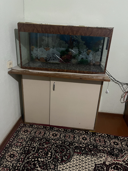 Аквариум холати уртача.