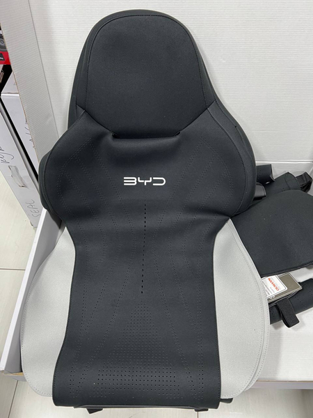 Byd chinpiyon song pulus gibrid chexol