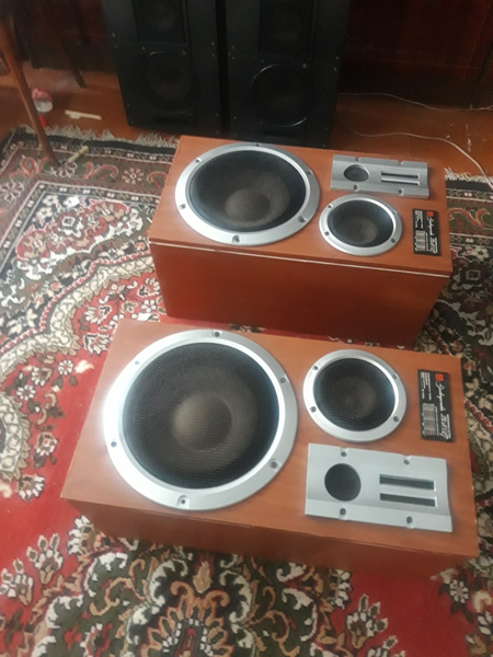 Продам калонки электроника 25 Ас 027
