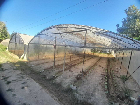 Uy sotiladi 60 sotx  4-ferma sutbuloq