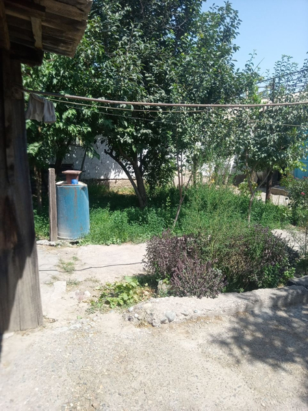 Ховли 6 сутих сотилади