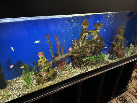 Akvarium 400-450 litr tumbali xamma narsasi bilan !!!