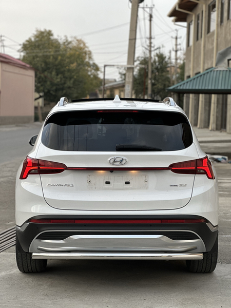 Hyundai santafe 2022