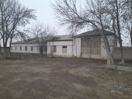 Продам ферму 9,3 га. Гулистан