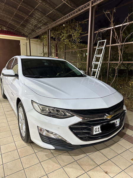 Malibu 2 Primier