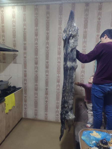 Бури сотилади ургочи