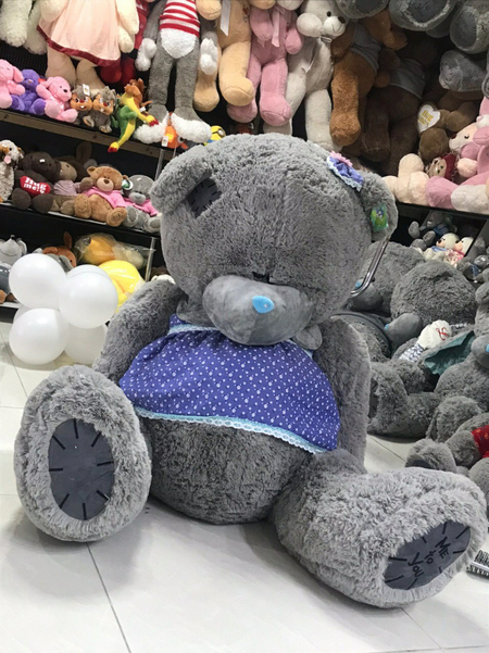 Teddy teddi xitoy orginal 100 %