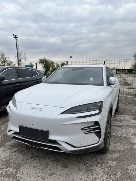 BYD chempion 2025