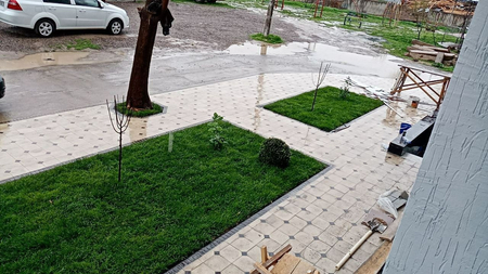Gazon ekish xizmati