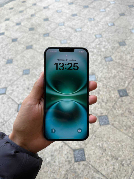 iPhone 13 Pro Max