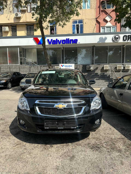 cobalt halol nasya savdoga