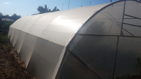 Parnik holati alo darajada puli kelishiladi 14 metrga 7 metr uzunligi