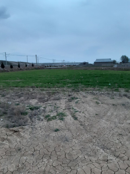 Агород сотилади 15