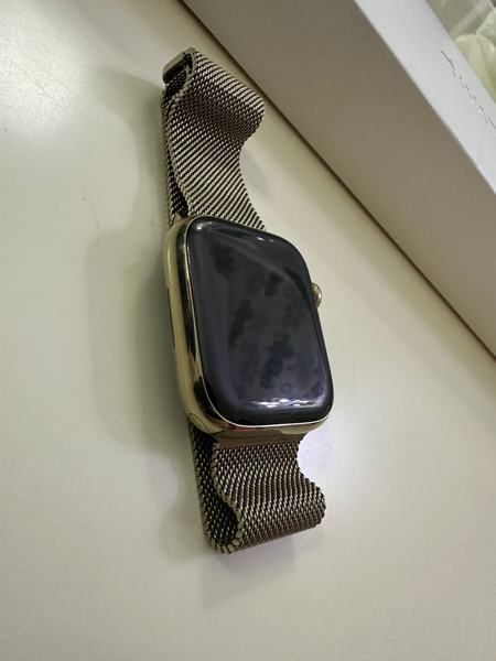 Apple Watch Series 7 Gold Stainless Steel Case