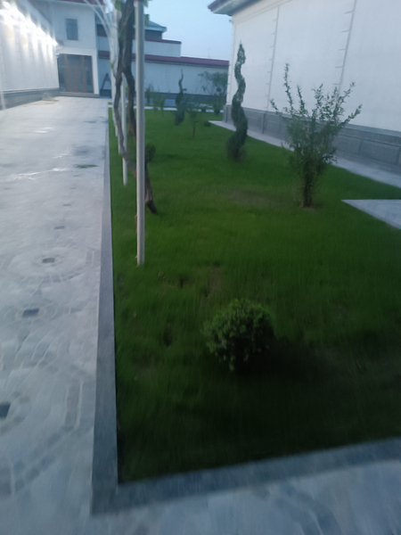 Gazon Sifatli va Arzon