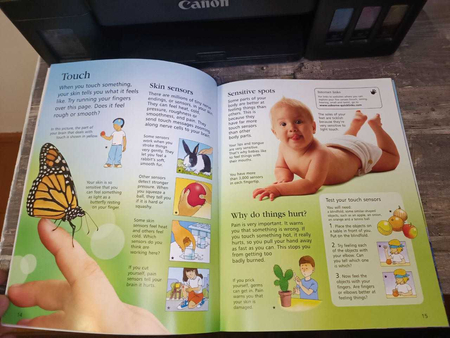 Детская Энциклопедия книга на Английском языке.HUMAN BODY Encyclopedia