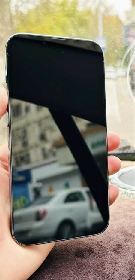 Iphone 13 Pro blue