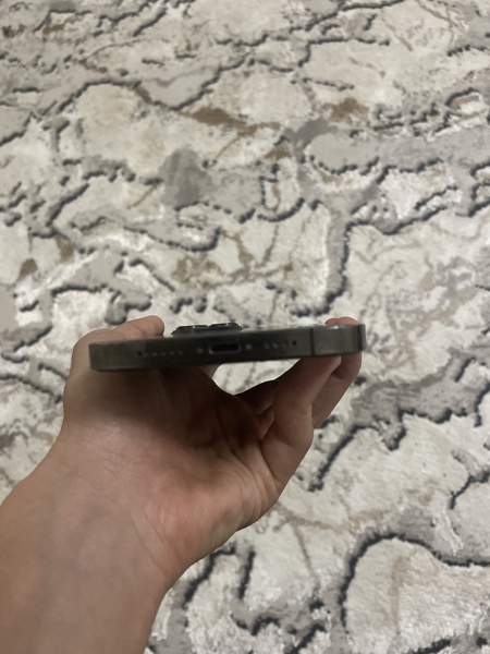 Iphone 13 pro max ideal